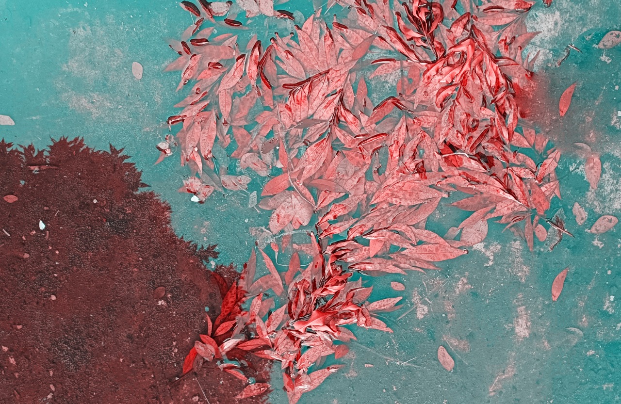 Gumam Rindu Untuk Ayah Magrib Id